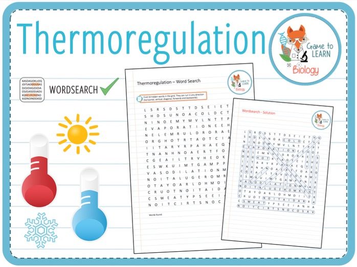 Thermoregulation - Word Search (KS4) | Teaching Resources
