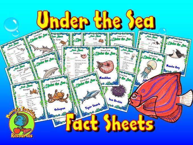 Under The Sea Animals Fact Sheets | Teaching Resources