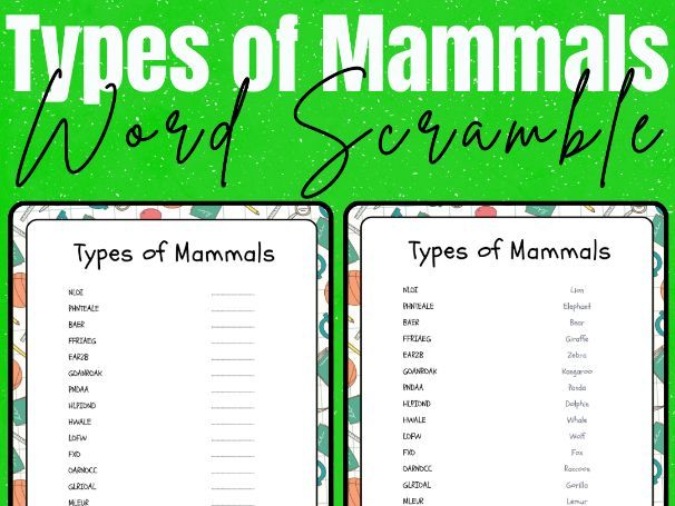 Types of Mammals Word Search, Scramble & Reverse Search: No-Prep Fun ...