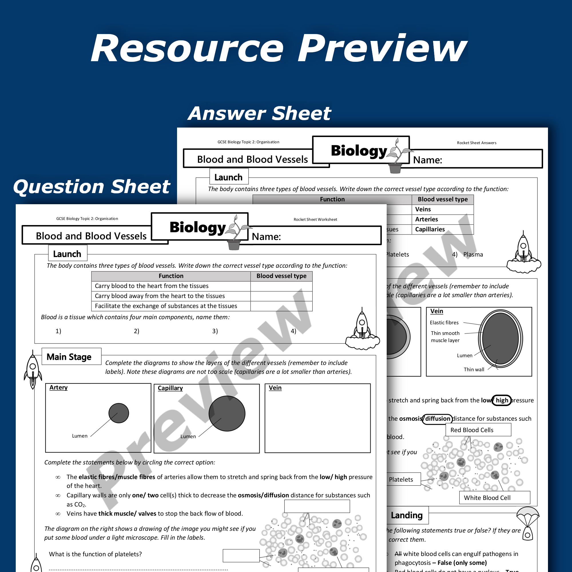 Blood and Blood Vessels Home Learning Worksheet GCSE | Teaching Resources