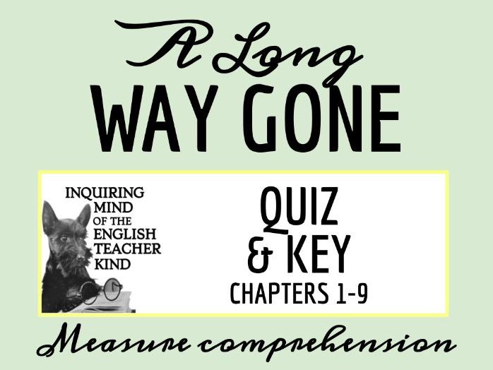 A Long Way Gone by Ishmael Beah Quiz Bundle | Teaching Resources