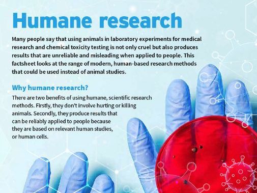 Humane Research Factsheet | Teaching Resources