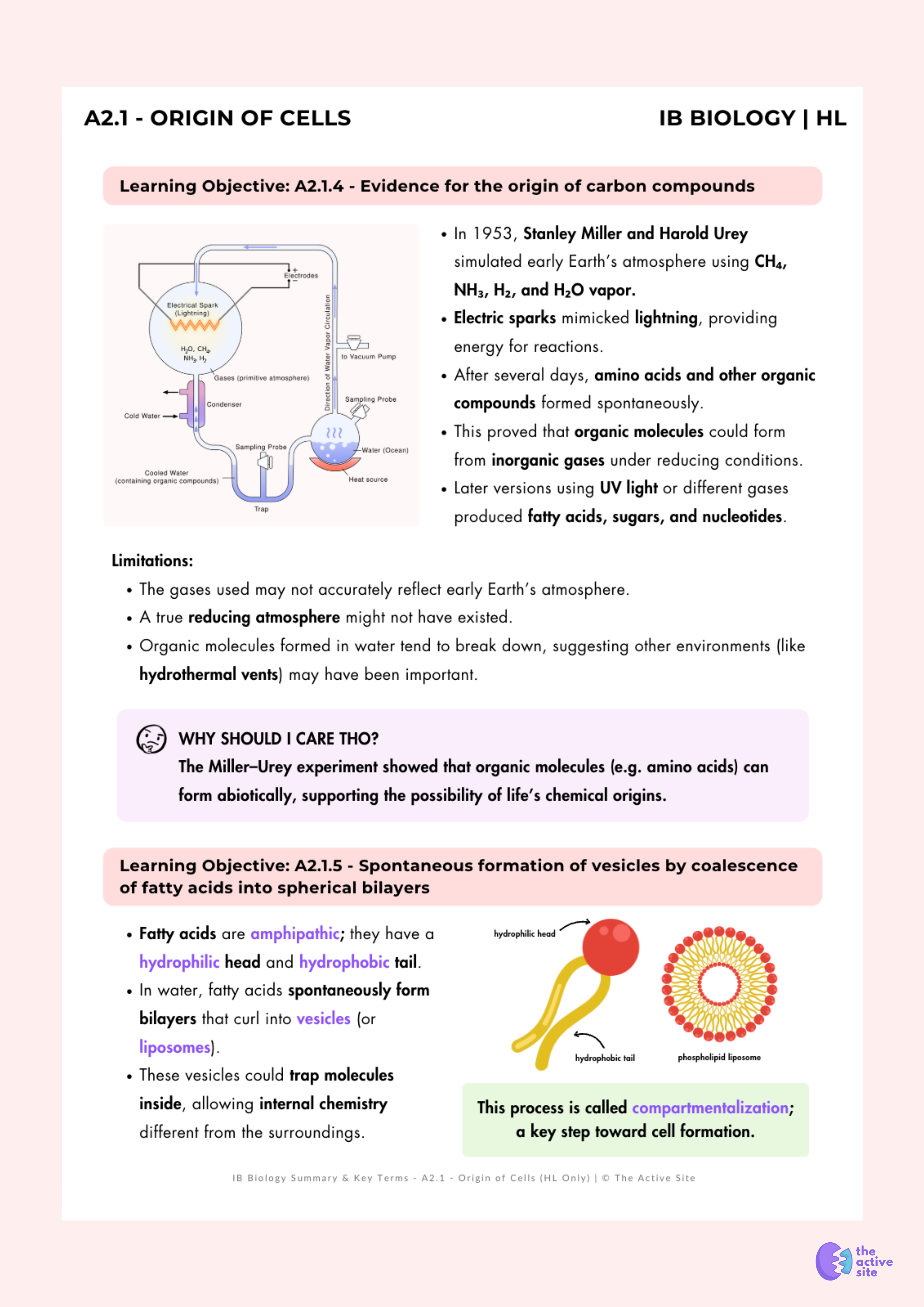 IB Biology HL – Topic A2.1: Origin of Cells | Summary & Key Terms Sheet ...