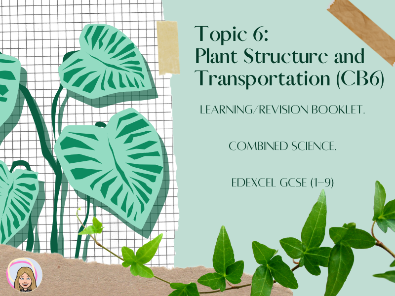 Plant Structures And Their Functions Biology Topic 6 Combined Science 