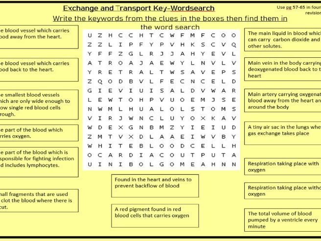 Keyword Wordsearch revision Edexcel Biology Combined Science | Teaching ...