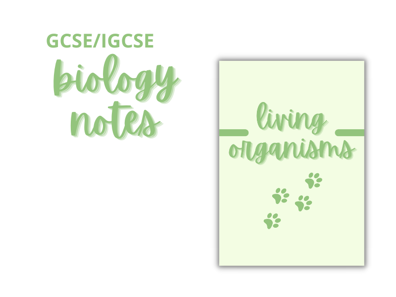 (FREE) GCSE/IGCSE Biology Notes - Living Organisms | Teaching Resources