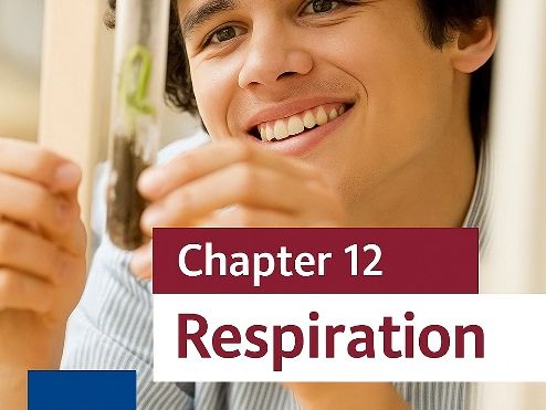 A-level Respiration (AQA spec) | Teaching Resources