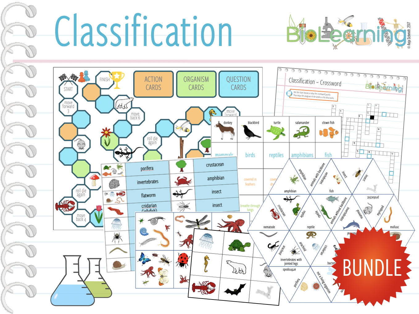 Classification - 10x Games and activities | Teaching Resources