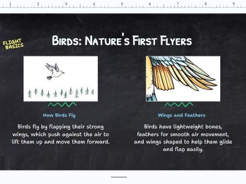 How Did We Learn To Fly? 22 Slide Lesson Powerpoint | Teaching Resources