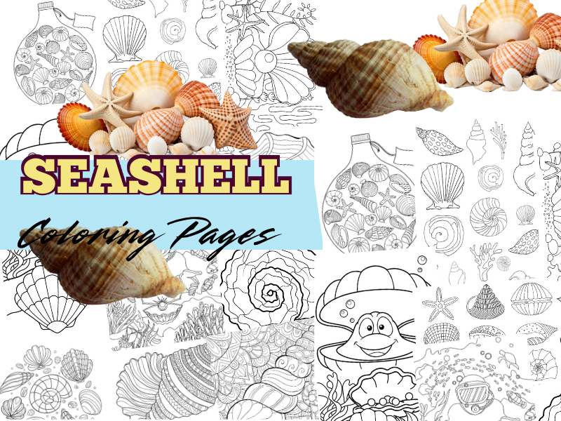 Seashell Coloring Pages Printable | Fun & Relaxing Beach-Themed ...