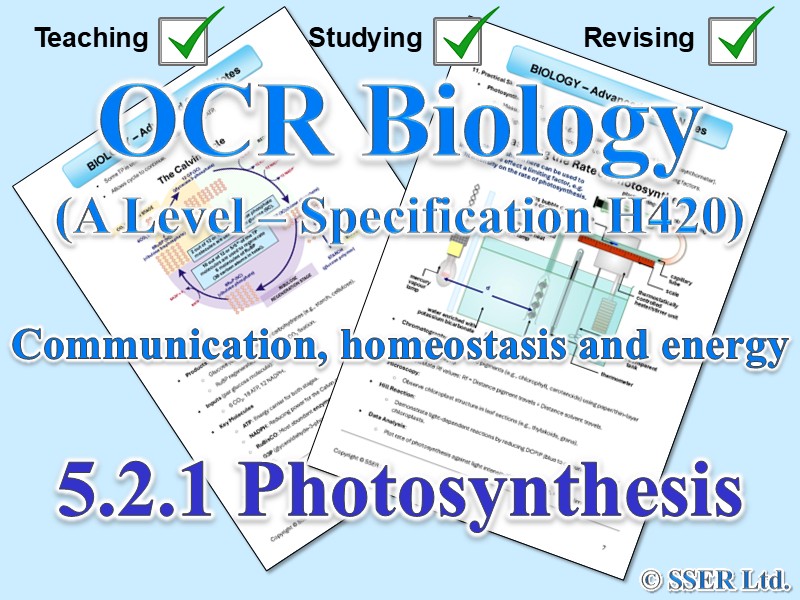 BIOA_OCR Topic Notes: 5.2.1 Photosynthesis | Teaching Resources