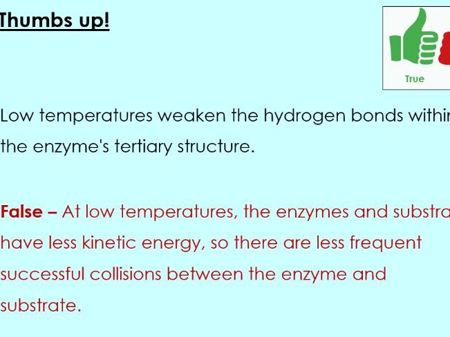 OCR A - A Level Bio, Temperature and pH effect on enzymes (2.1.4, (d)(i)) | Teaching Resources