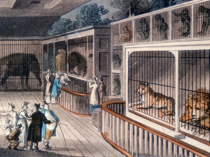 English GCSE Practice Jamrach's Menagerie Language Paper 1 Structure ...