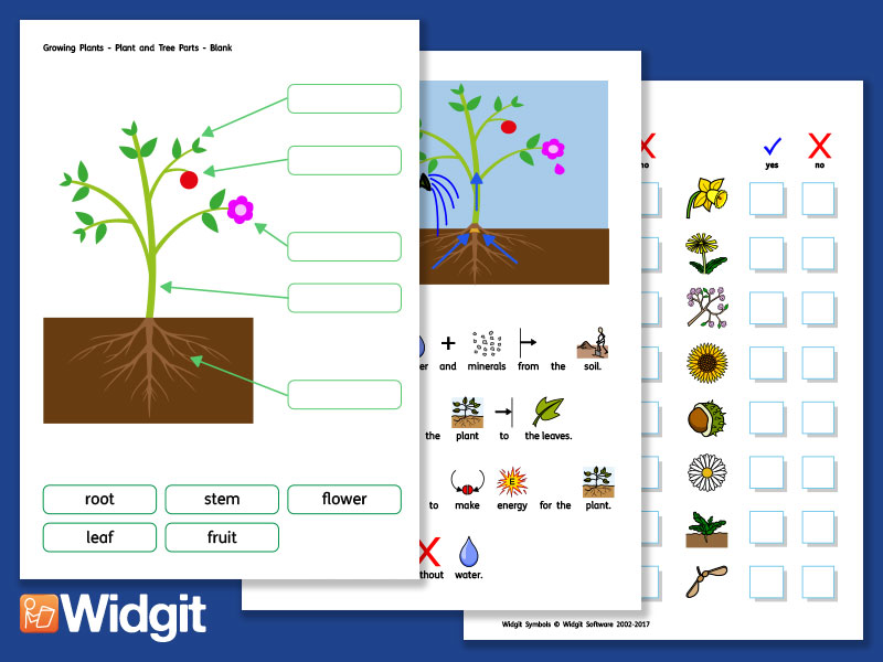 Widgit Software's Shop - Teaching Resources - TES
