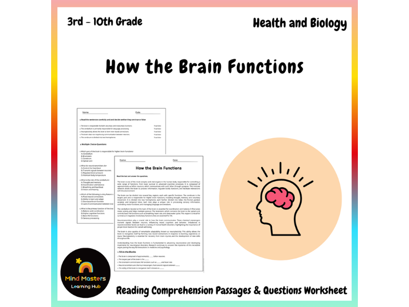 How the Brain Functions Reading Comprehension Passages & Questions ...