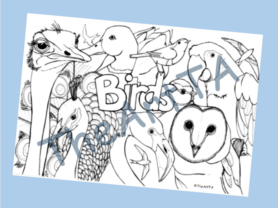 Animal Classification Colouring/ Activity Sheets | Teaching Resources