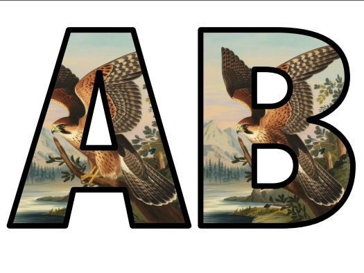 Falcon Bird Animal of Prey Lettering Set Display Title Letters Numbers ...