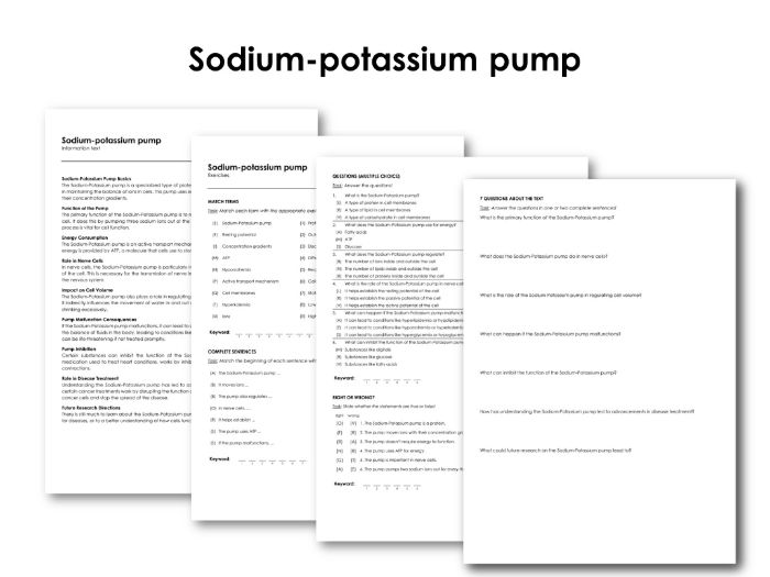 Sodium-potassium pump | Teaching Resources