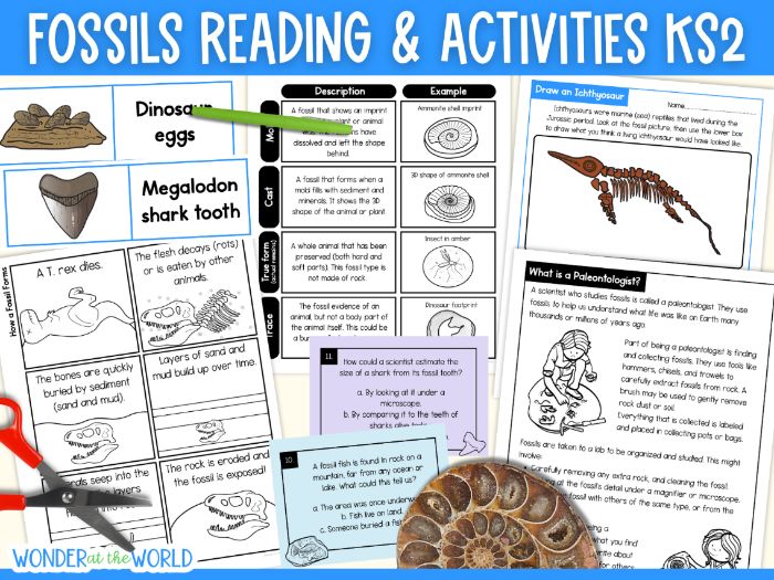 Fossils KS2 science worksheets printable activities PowerPoints reading | Teaching Resources