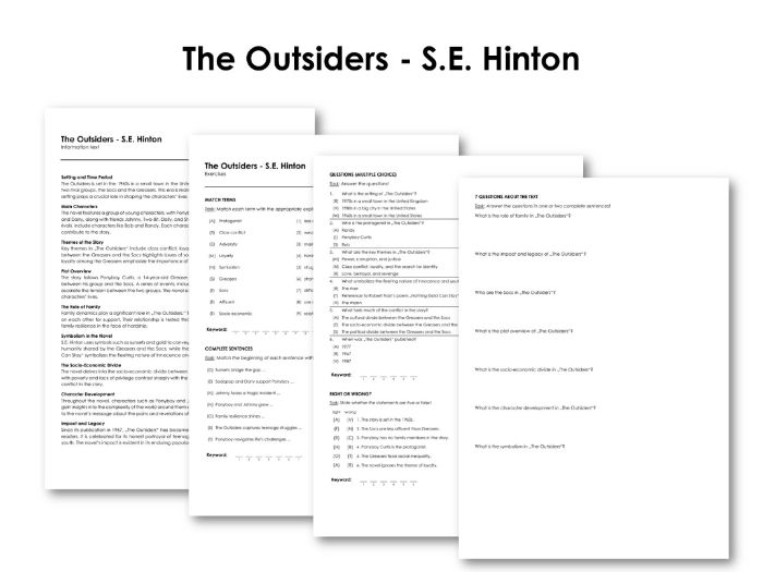 The Outsiders - S.E. Hinton | Teaching Resources