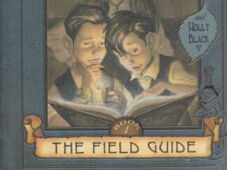 Reading Comprehension- Spiderwick #1- The Field Guide | Teaching Resources