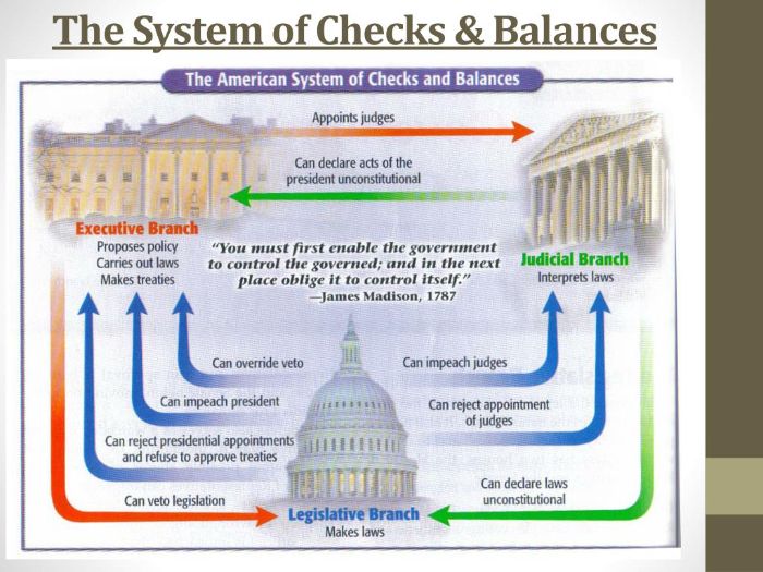 Checks and Balances in the USA. Exam Question with response and assessment tool. | Teaching ...