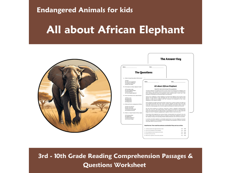 All About African Elephants Reading Comprehension Passages & Questions ...