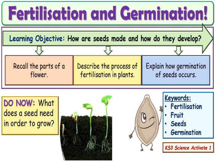 Reproduction Activate 1 KS3 Science Bundle | Teaching Resources