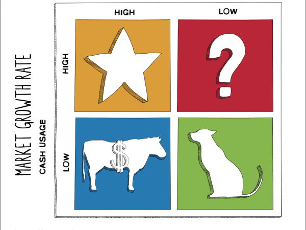 Market strategy case study: Boston Matrix, segmentation and product ...