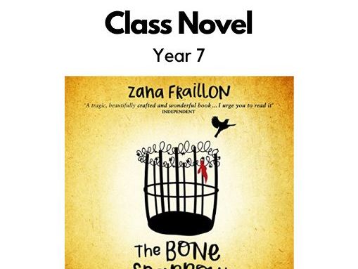 Bone Sparrow Book Study | Teaching Resources