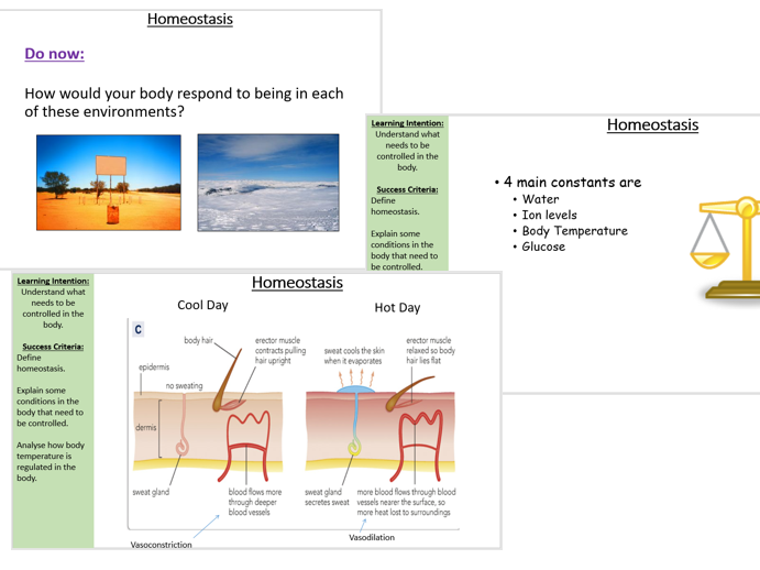 Principles of Homeostasis AQA B10.1 | Teaching Resources Principles of Homeostasis AQA B10.1 | Teaching Resources