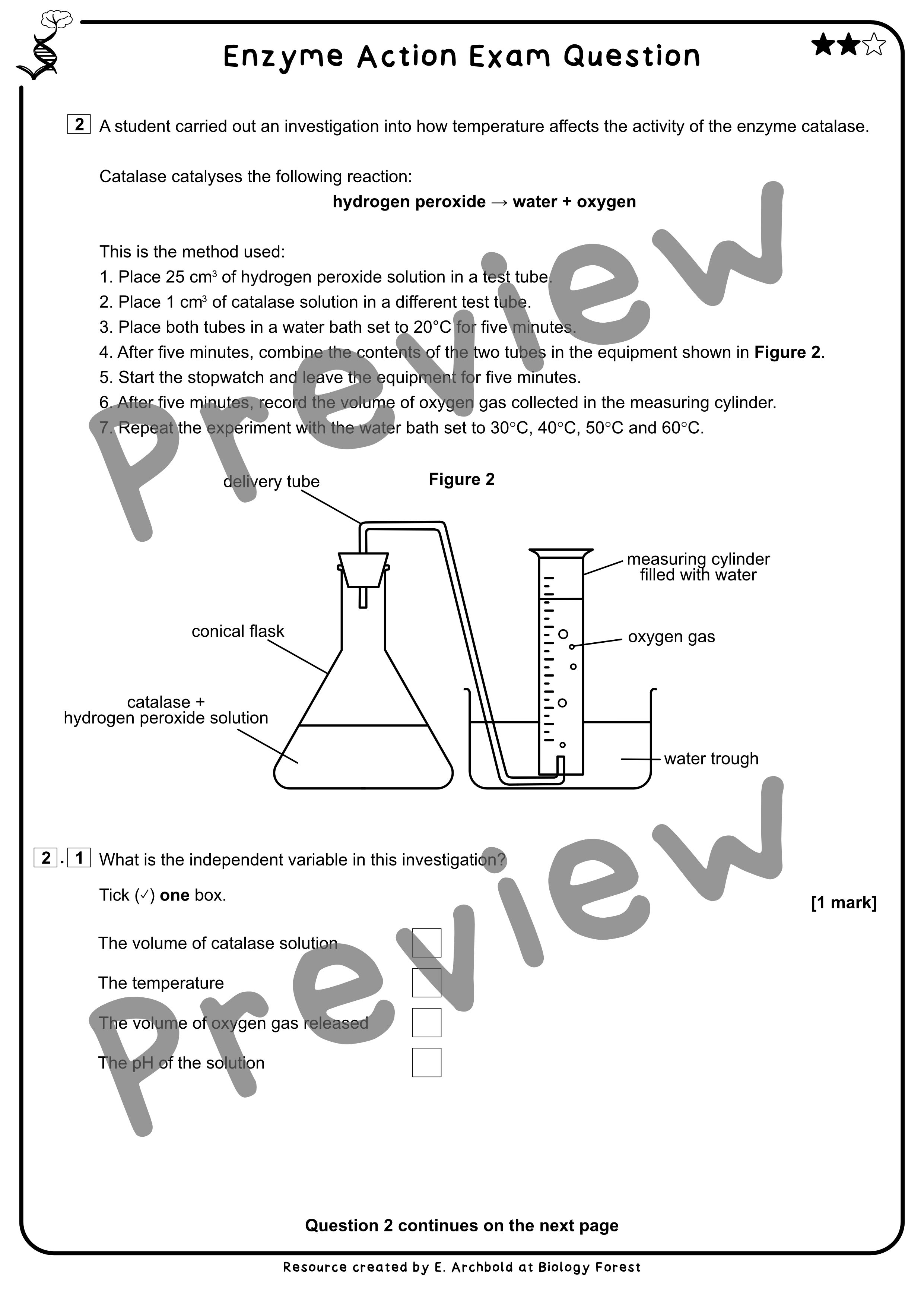 Enzymes | GCSE Biology | Teaching Resources