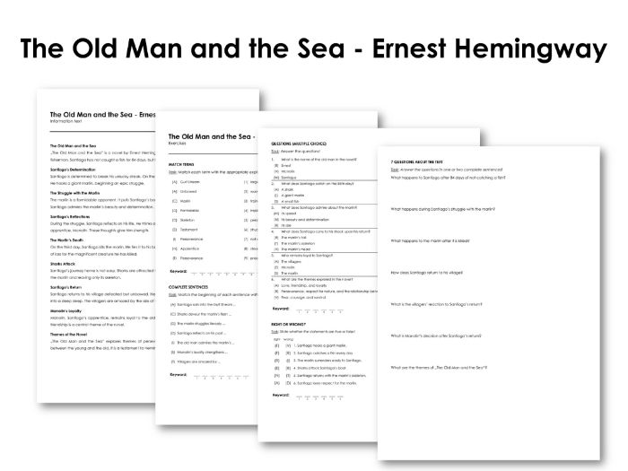 What Do Lions Symbolize In The Old Man And The Sea at Adeline Zebrowski ...