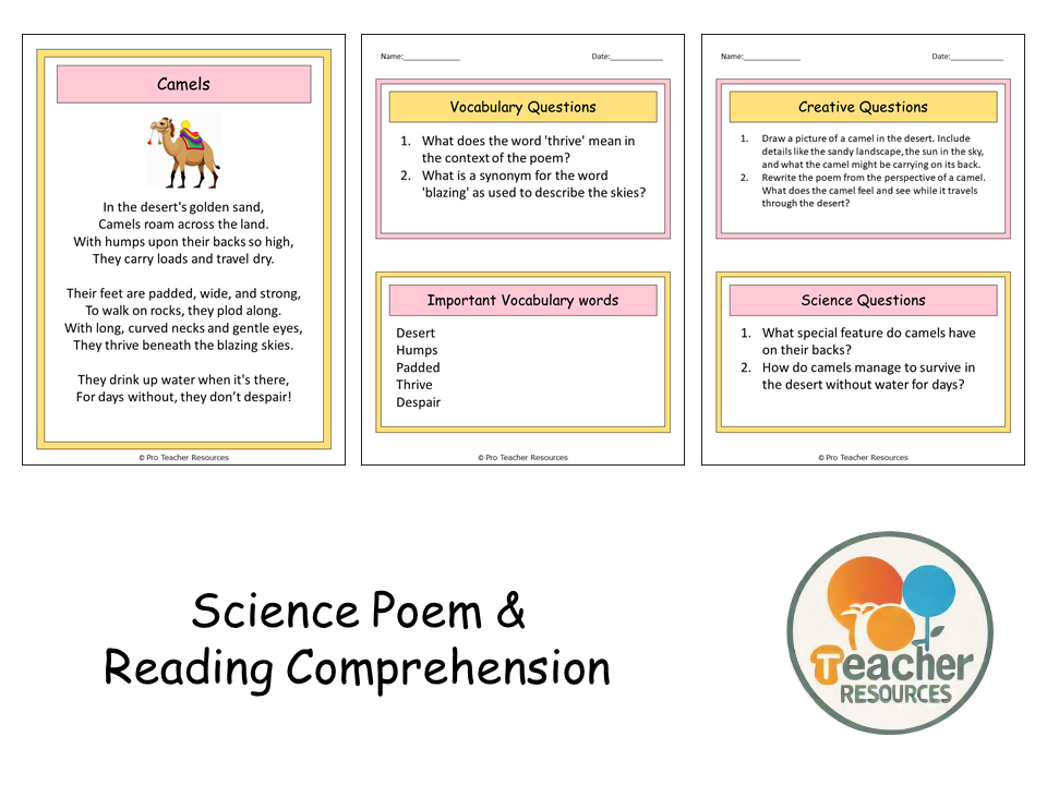 Camels Poem Reading Comprehension Questions Worksheet | Teaching Resources