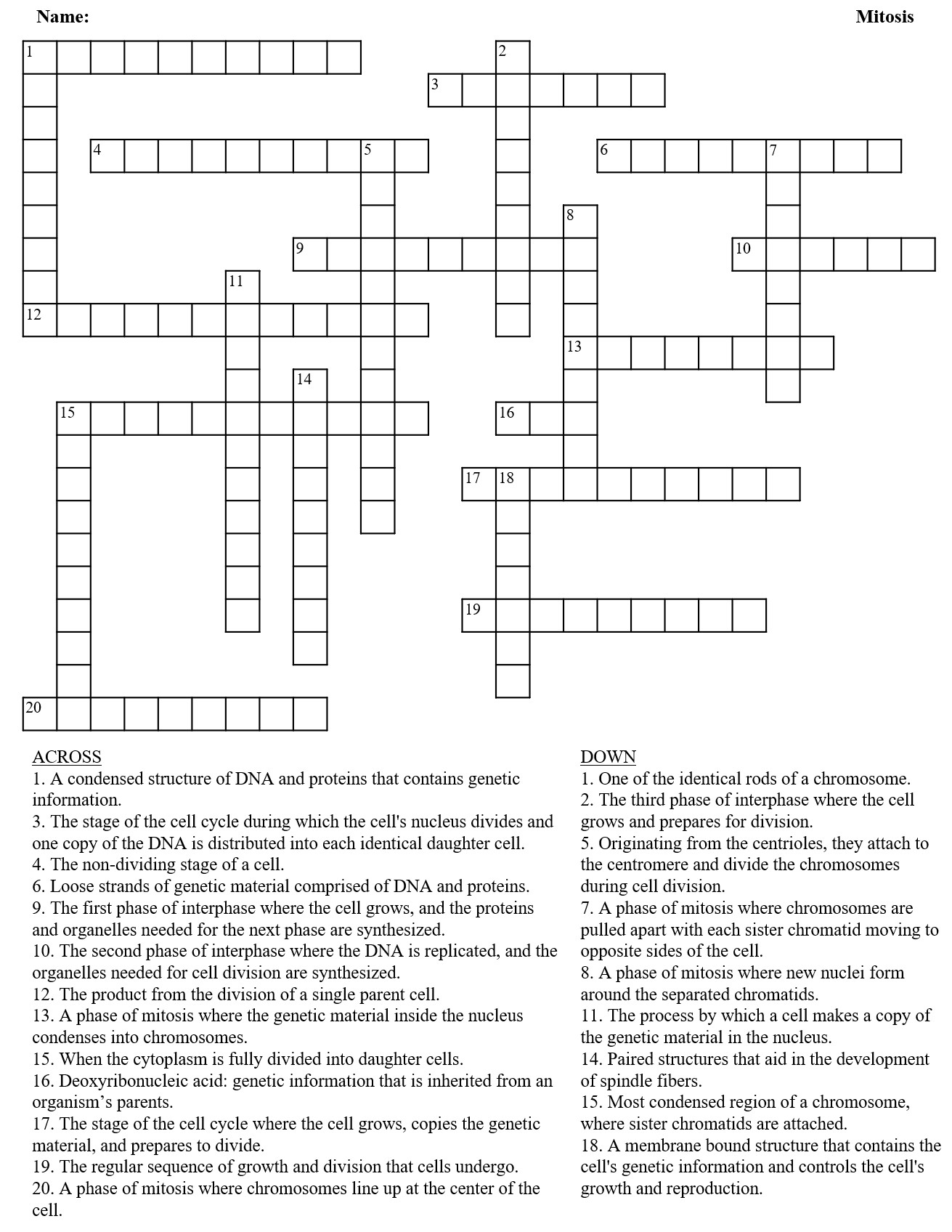 Mitosis Crossword and Word Search | Teaching Resources