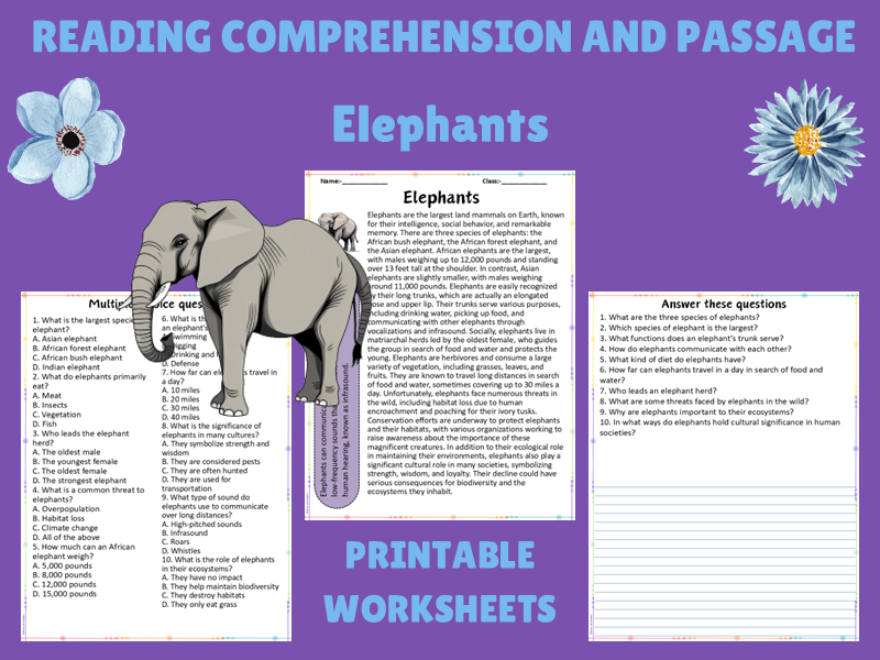 Explore the World of Elephants: Engaging Reading Passage and Thought ...