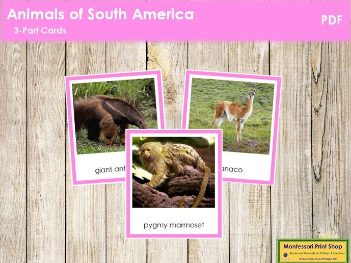 Primary animals resources