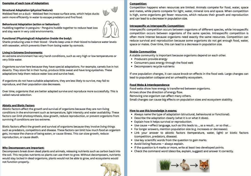 Paper 2 Revision/B15/Scaffold/Literacy/LA/Key Words/Definitions/AQA ...
