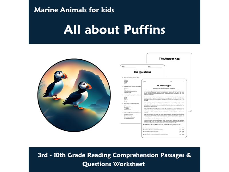 All About Puffins - Reading Comprehension Passages & Questions ...