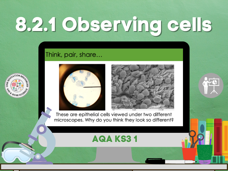8.2.1 Observing cells: Lesson bundle (AQA KS3 1) | Teaching Resources
