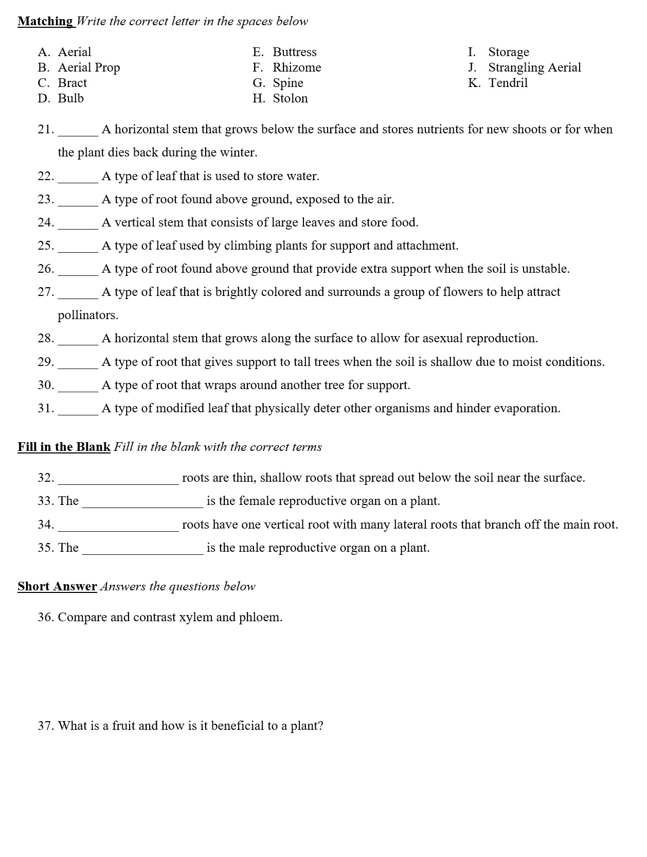 Plant Structure And Function Test Review Questions And Answer Keys 