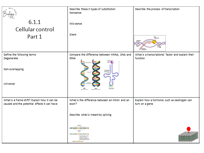 6.1.1 Cellular control revision grid OCR A level biology | Teaching ...
