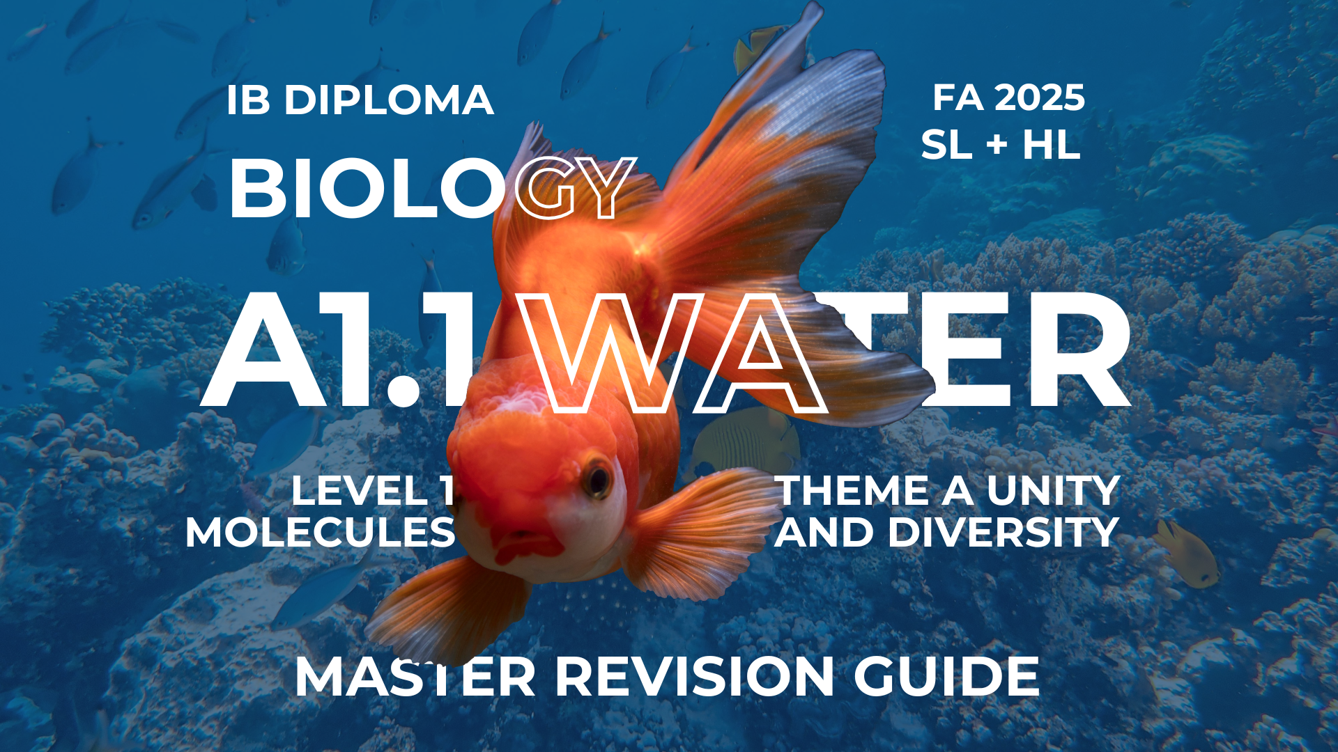 IB DP Biology A1.1 Water - Revision Guide | FA 2025 | SL & HL I ...
