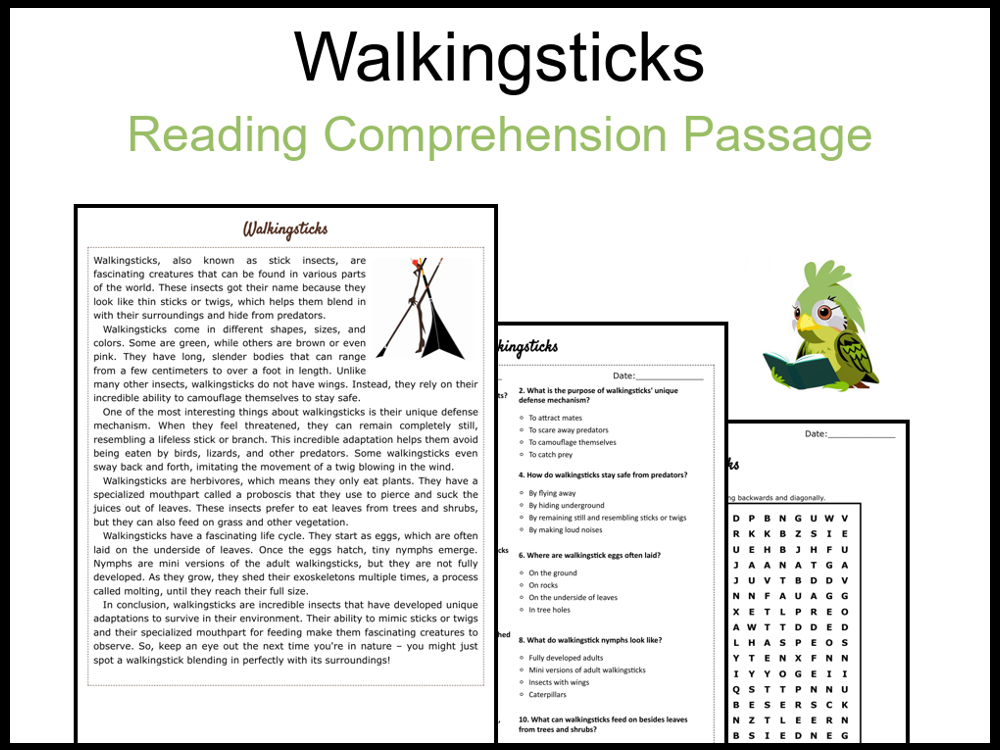 Walkingsticks Reading Comprehension and Word Search | Teaching Resources