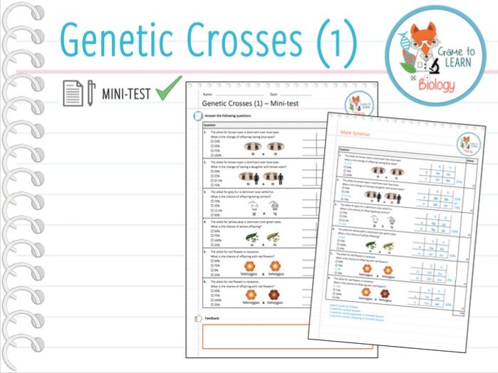 Genetic Crosses (1) - Mini-test (KS4) | Teaching Resources