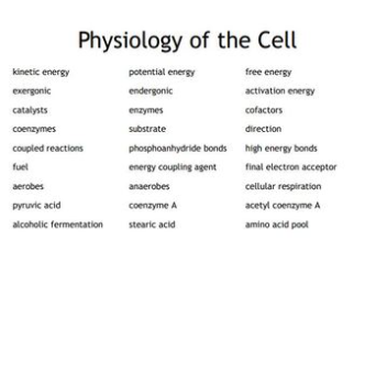 "Physiology of the Cell" Bingo set for a Zoology Course | Teaching ...