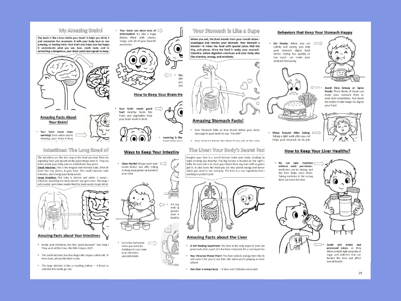 Human Body Organs Exploration & Healthy Habits Kit - Anatomy ...