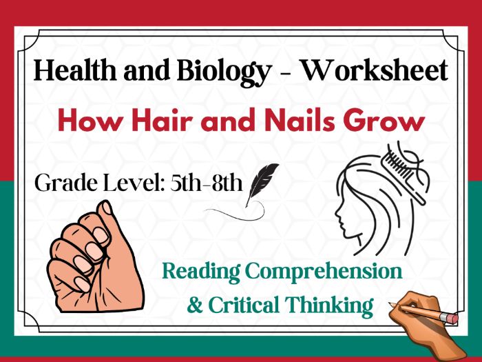 How Hair and Nails Grow: Reading Comprehension Passages & Questions ...