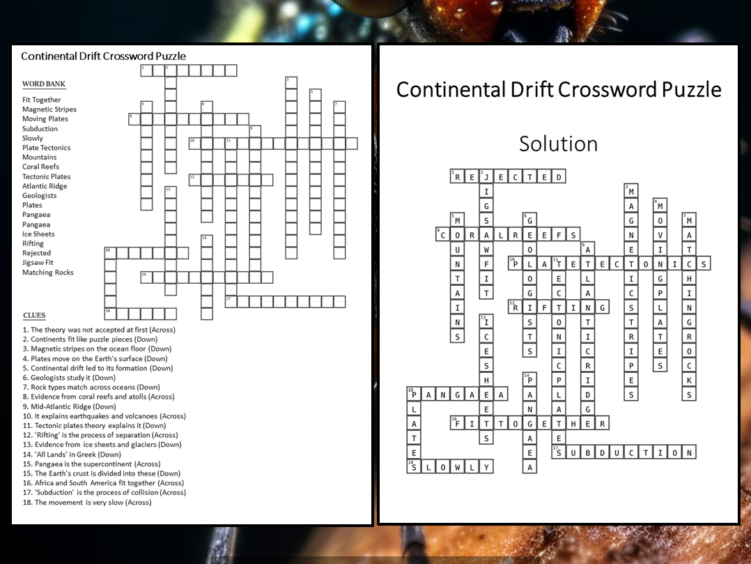 Continental Drift Crossword Puzzle Worksheet Activity Teaching Resources