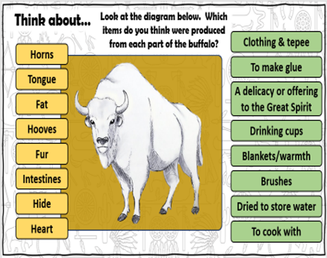 GCSE History Edexcel: The American West - Importance of the Buffalo ...